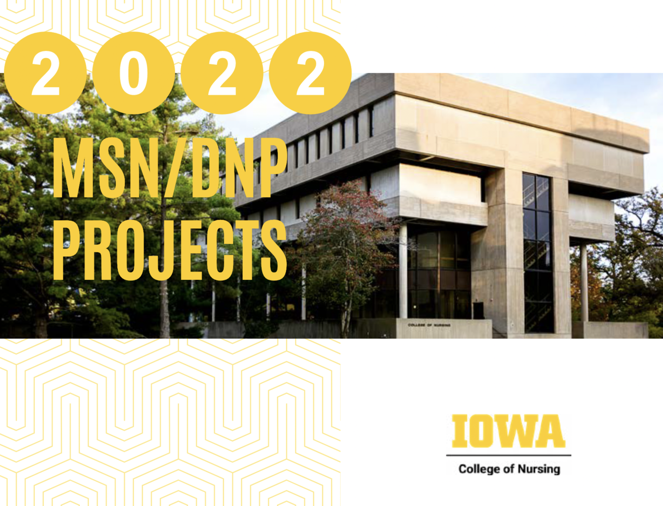 DNP - Projects and Select Posters | College of Nursing - The University ...