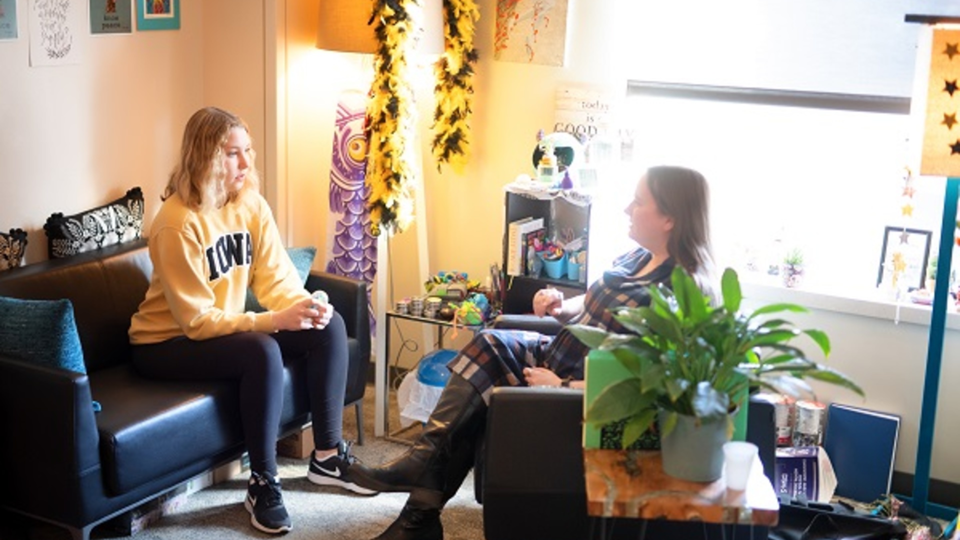 DNP in Psych-Mental Health Nurse Practitioner - Overview | College of ...